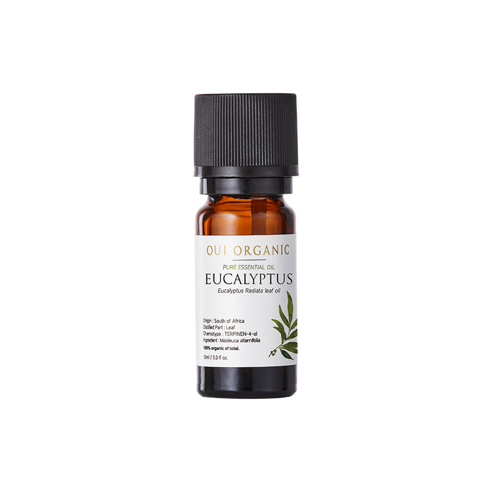 OUI ORGANIC ｜ Eucalyptus Pure Essential Oil – Oui Organic | Organic ...